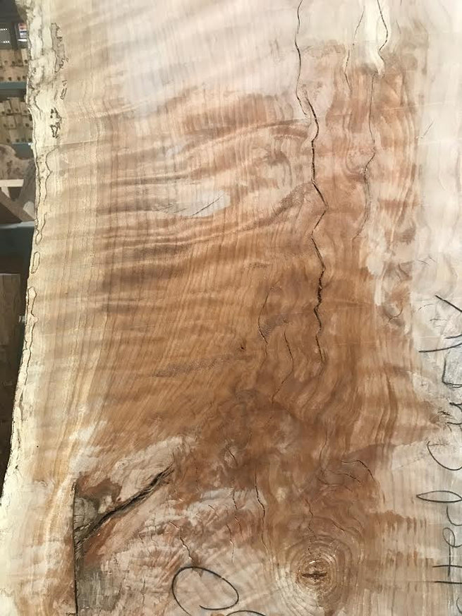 Slabs — WoodWorld of Texas